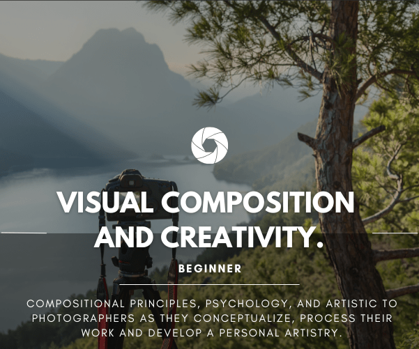 VISUAL COMPOSITION AND CREATIVITY - Bluepascal Photography
